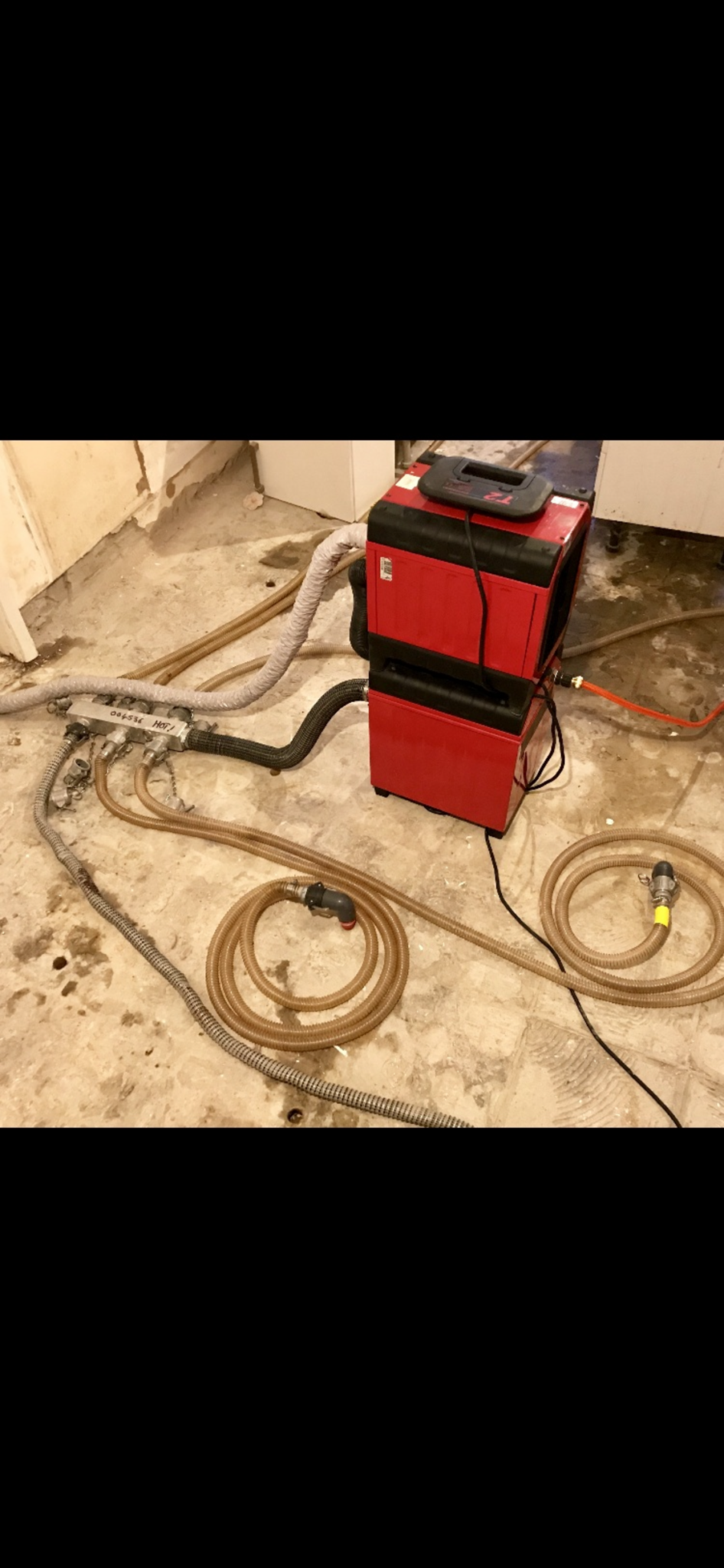 Damp Damage Removal - Northern Restorations